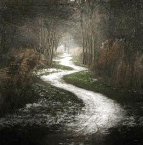 The Crooked Path – Ecclesiastes 7:13-14 | Steve's Bible Meditations